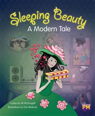 Sleeping Beauty: A Modern Tale - Buy Book | Fiction and Non-Fiction ...