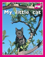 My little cat - Buy Book | Fiction | 9780170095372 | Primary | Nelson ...