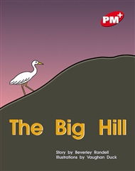 The Big Hill - Buy Book | Fiction | 9780170095624 | Primary | Nelson ...