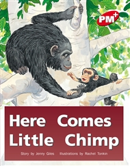 Here Comes Little Chimp - Buy Book | Little Chimp | 9780170095631 ...