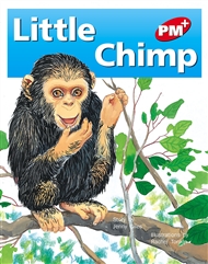 Little Chimp - Buy Book | Little Chimp | 9780170095662 | Primary ...
