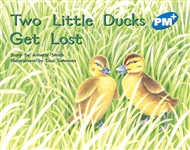 Two Little Ducks Get Lost - Buy Book | Fiction | 9780170096584 ...