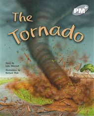 The Tornado - Buy Book | Fiction | 9780170098731 | Primary | Nelson ...