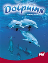 Dolphins - Buy Book | Non-Fiction | 9780170099363 | Primary | Nelson ...