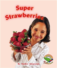 Super Strawberries - Buy Book | Non-Fiction | 9780170113236 | Primary ...