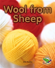 Wool from Sheep - Buy Book | Non-Fiction | 9780170116077 | Primary ...