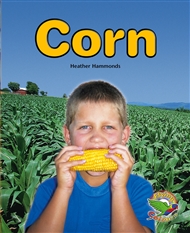 Corn - Buy Book | Non-Fiction | 9780170116152 | Primary | Nelson Australia
