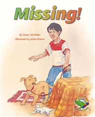 Missing! - Buy Book | Jason | 9780170120180 | Primary | Nelson Australia