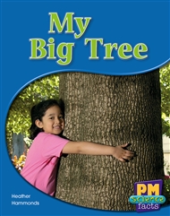 My Big Tree - Buy Book | Non-Fiction | 9780170123921 | Primary | Nelson ...