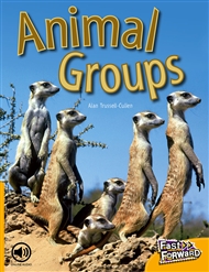 Animal Groups - Buy Book | Non-Fiction | 9780170124973 | Primary ...