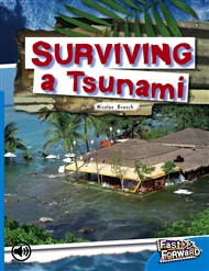 Surviving a Tsunami - Buy Book | | 9780170125451 | Primary | Nelson ...