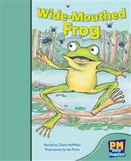 Wide-Mouthed Frog - Buy Book | Frog and Crocodile | 9780170136242 ...
