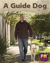 A Guide Dog - Buy Book | Non-Fiction | 9780170194334 | Primary | Nelson ...