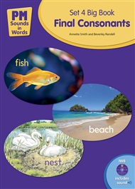 PM Sounds in Words Set 4 Big Book + IWB Software - Final Consonants ...