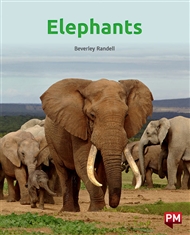 Elephants - Buy Book | Non-Fiction | 9780170328623 | Primary | Nelson ...