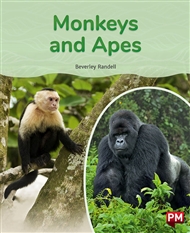 Monkeys and Apes - Buy Book | Non-Fiction | 9780170328661 | Primary ...