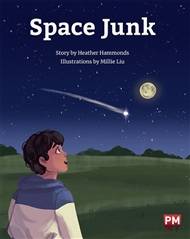 Space Junk - Buy Book | Fiction | 9780170329088 | Primary | Nelson ...