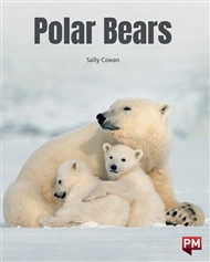 Polar Bears - Buy Book | Non-Fiction | 9780170329286 | Primary | Nelson ...