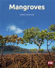 Mangroves - Buy Book | Non-Fiction | 9780170329293 | Primary | Nelson ...