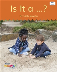 Nelson Decodable Readers | Decodable books for phonics practice ...