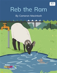 Nelson Decodable Readers | Decodable books for phonics practice ...