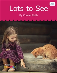 Nelson Decodable Readers | Decodable books for phonics practice ...