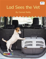 Nelson Decodable Readers | Decodable books for phonics practice ...