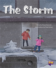 The Storm - Buy Book | Fiction | 9780170354363 | Primary | Nelson Australia