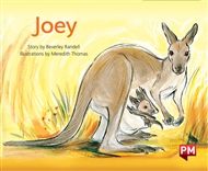 Joey - Buy Book | Fiction | 9780170403467 | Primary | Nelson Australia