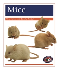 Mice - Buy Book | Non-Fiction | 9781869556921 | Primary | Nelson Australia