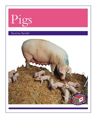 Pigs - Buy Book | Non-Fiction | 9781869559403 | Primary | Nelson Australia