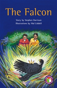 The Falcon - Buy Book | Fiction | 9781869614195 | Primary | Nelson ...