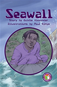 Seawall - Buy Book | Fiction | 9781869614614 | Primary | Nelson Australia